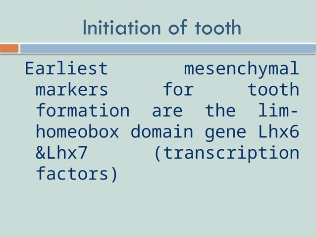 Development of tooth-Part II.pptx( Epithelial Mesenchymal Interaction) | PPTX