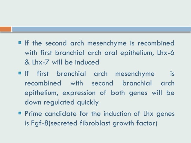 Development of tooth-Part II.pptx( Epithelial Mesenchymal Interaction) | PPTX