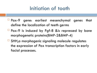 Development of tooth-Part II.pptx( Epithelial Mesenchymal Interaction ...