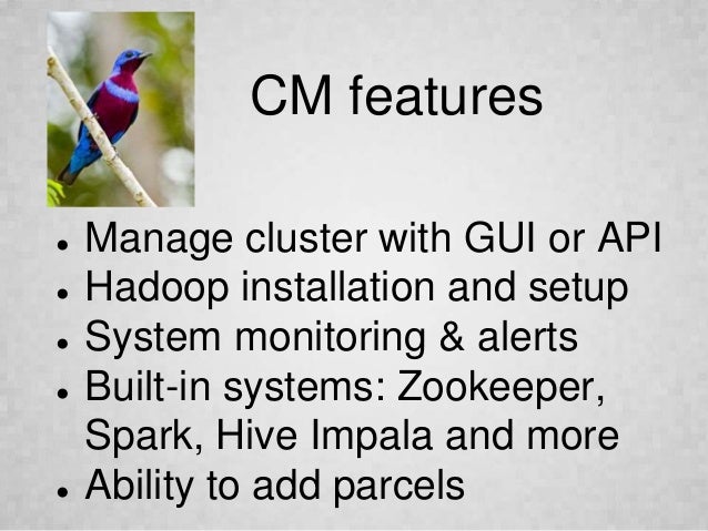 Dev ops for big data cluster management tools