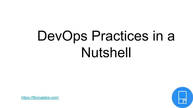 DevOps Practices in a Nutshell | PPTX