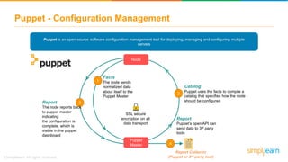 DevOps Training | DevOps Training Video | DevOps Tools | DevOps Tutorial For Beginners ...