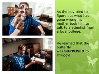 Butterfly Struggles - An inspirational life lesson | PPTX