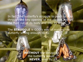 Butterfly Struggles - An inspirational life lesson | PPTX