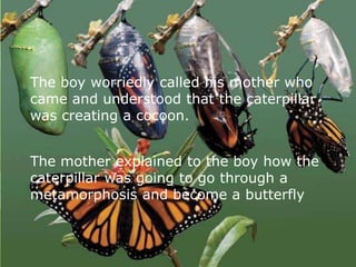 Butterfly Struggles - An inspirational life lesson | PPTX