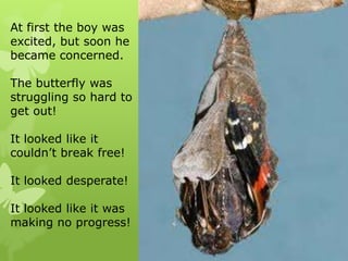Butterfly Struggles - An inspirational life lesson | PPTX