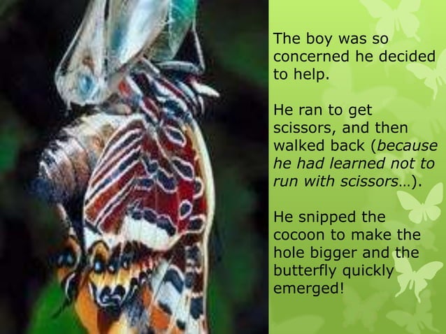 Butterfly Struggles - An inspirational life lesson | PPTX