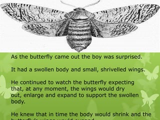 Butterfly Struggles - An inspirational life lesson | PPTX