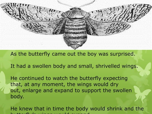 Butterfly Struggles - An inspirational life lesson | PPTX