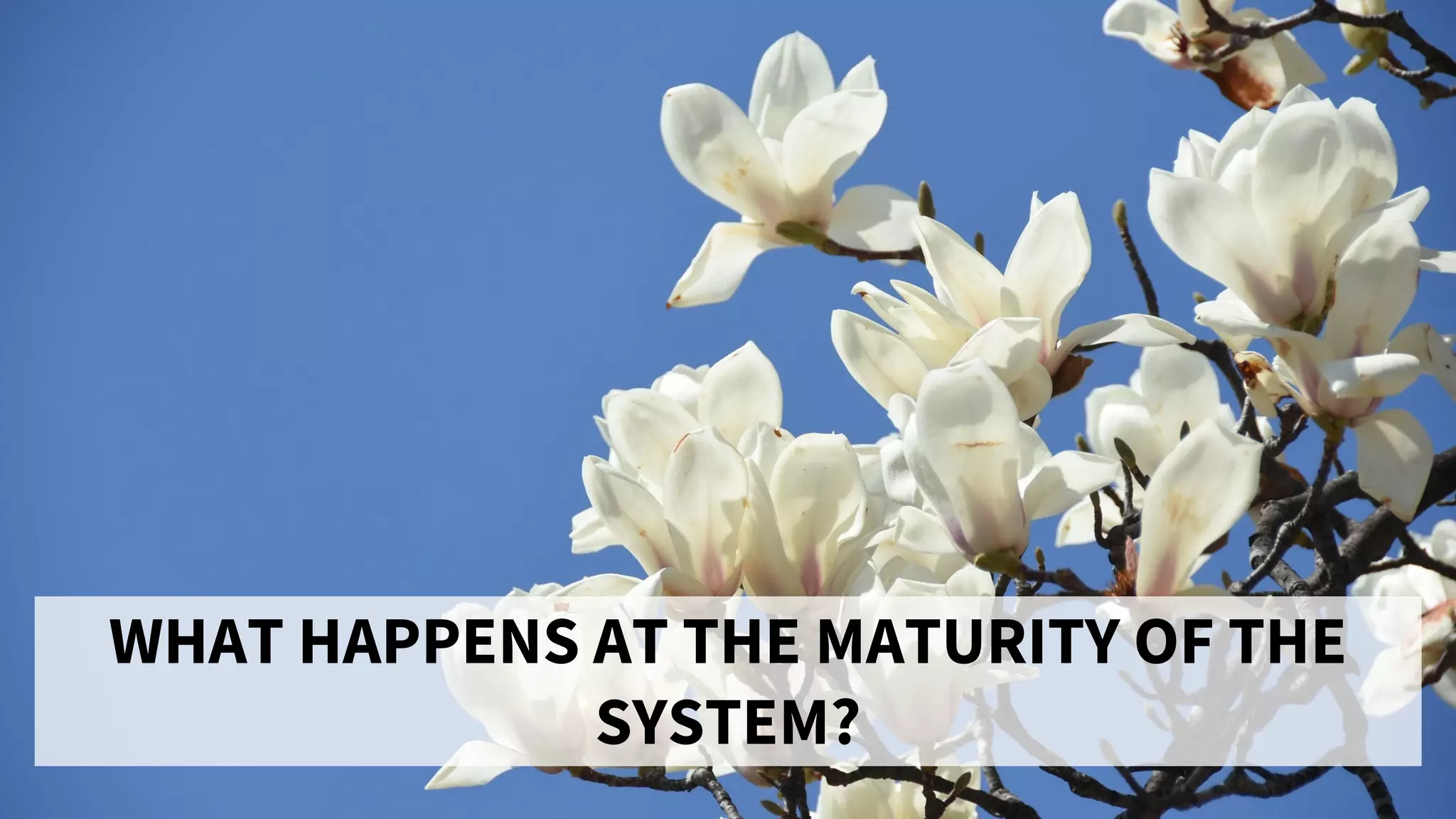 The automation challenge: Kubernetes Operators vs Helm Charts | PPT