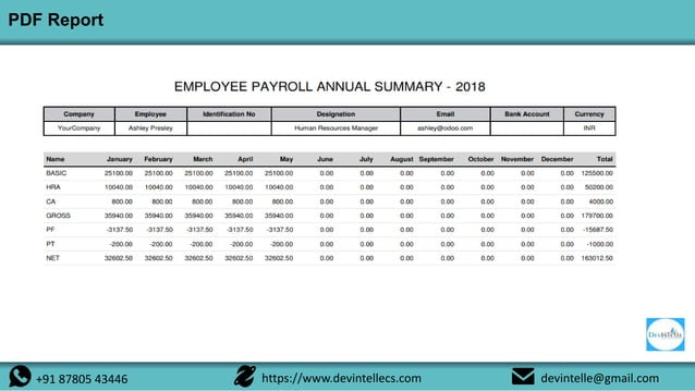 Employee Payroll Annually Summary Report | PPT