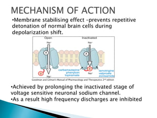 PHENYTOIN: MECHANSIM OF ACTION , PHARMACOKINETICS & THERAPEUTIC ...