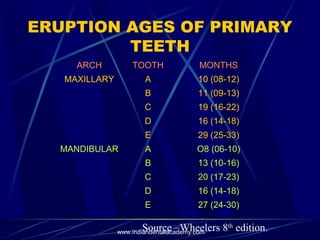 Development of primary dentition /certified fixed orthodontic courses ...