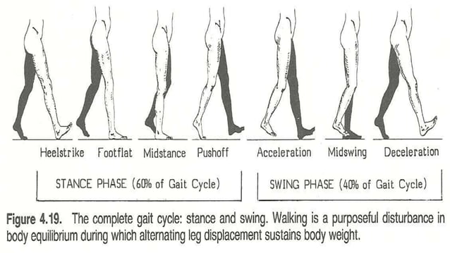 localization and control of gait and posture disorders | PPT