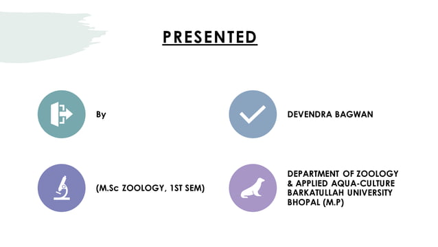 Dev Presentation | PPT