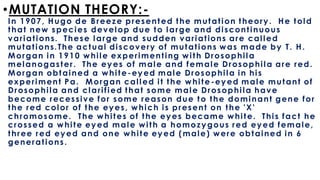 Dev Presentation | PPT