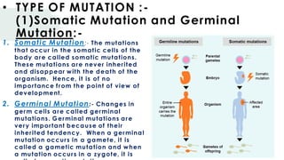 Dev Presentation | PPT