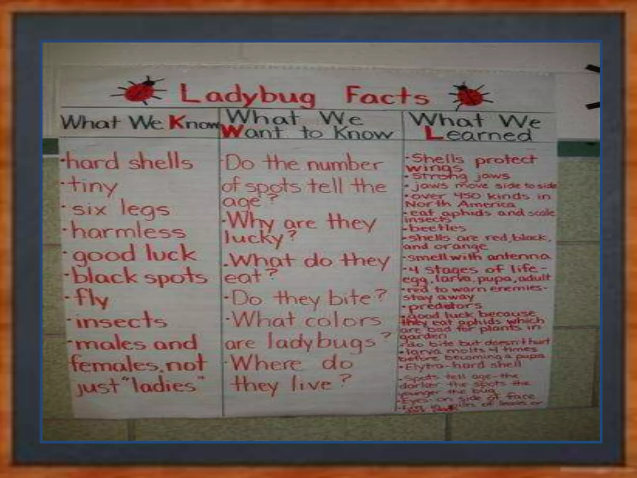 K-W-L Strategy | PPTX