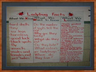 K-W-L Strategy | PPTX