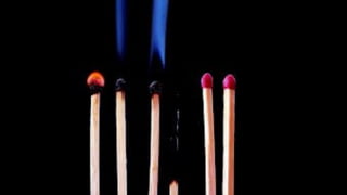 Adapt & Survive | PDF