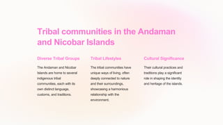 Andaman and Nicobar Islands for school's | PPTX