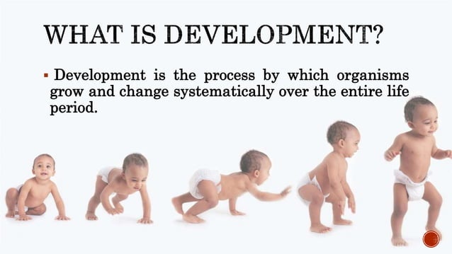 Developmental Tasks | PPTX