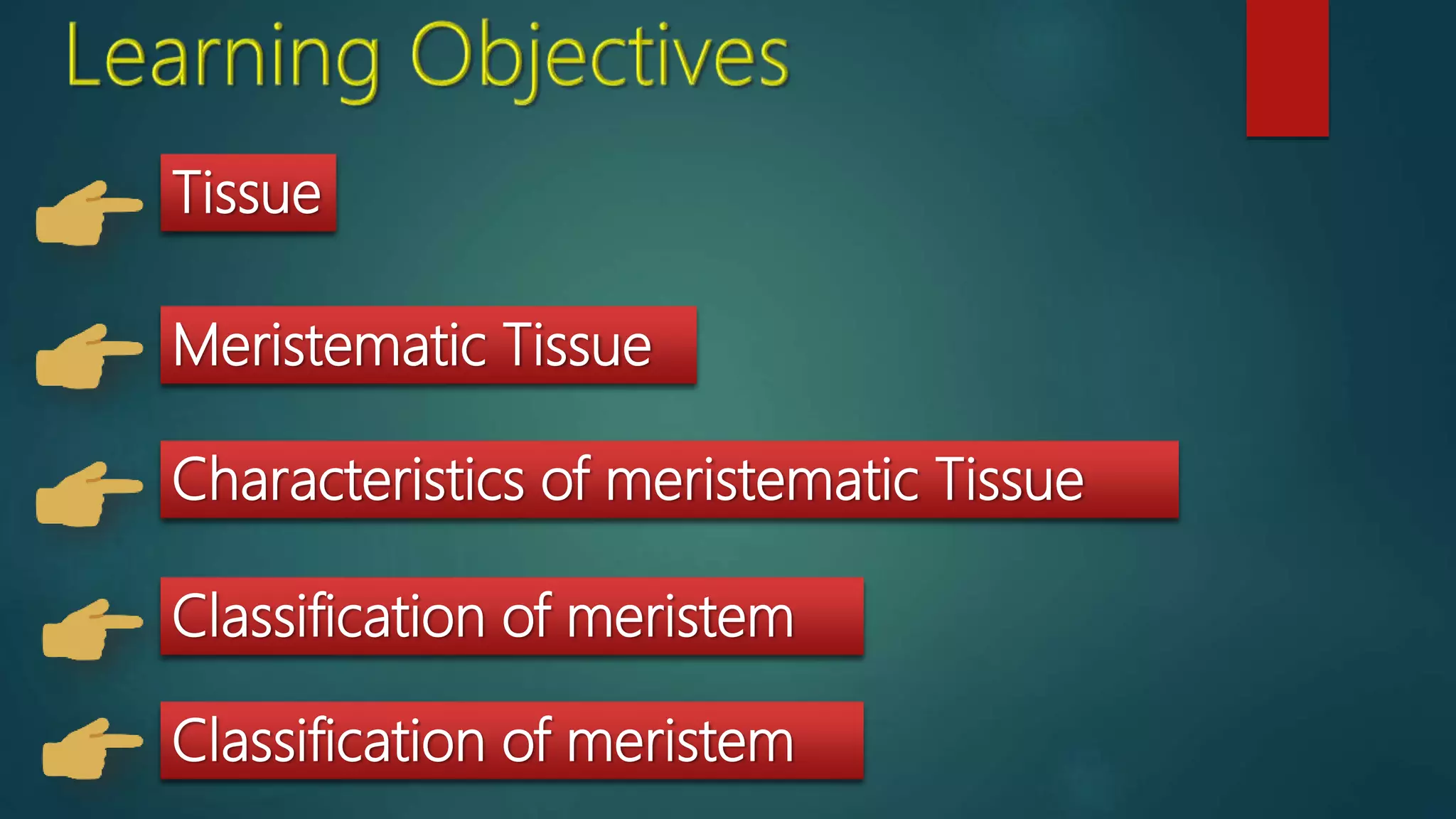 Meristematic tissue | PPTX