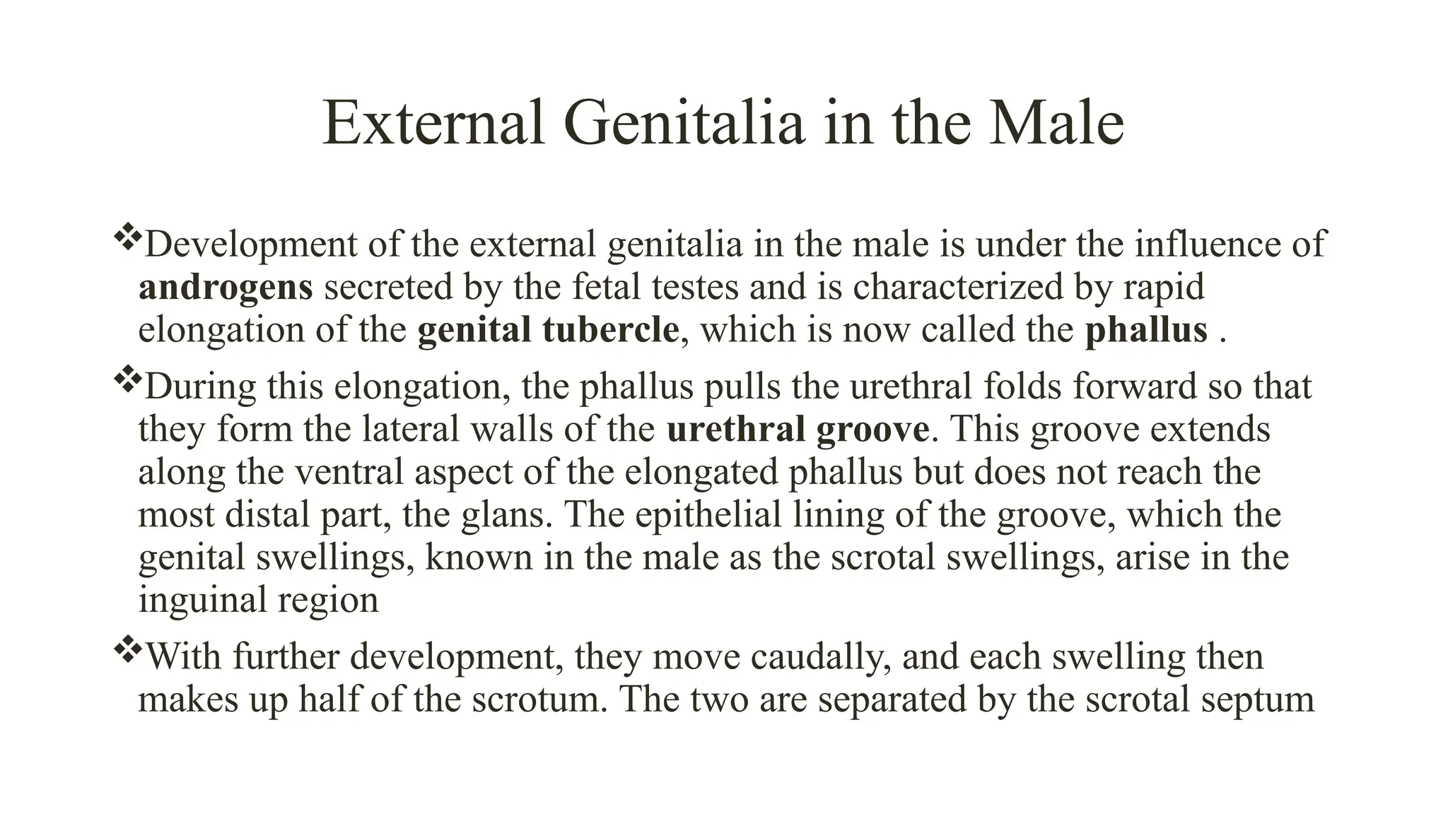 development of genitals and their clinical relevance.pptx