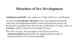 development of genitals and their clinical relevance.pptx