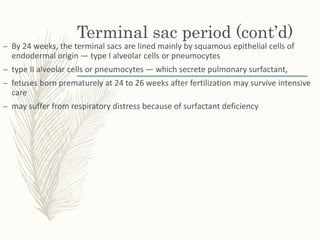 Devt of resp syst.ppt