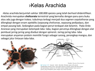 Animalia Arthropoda | PPTX
