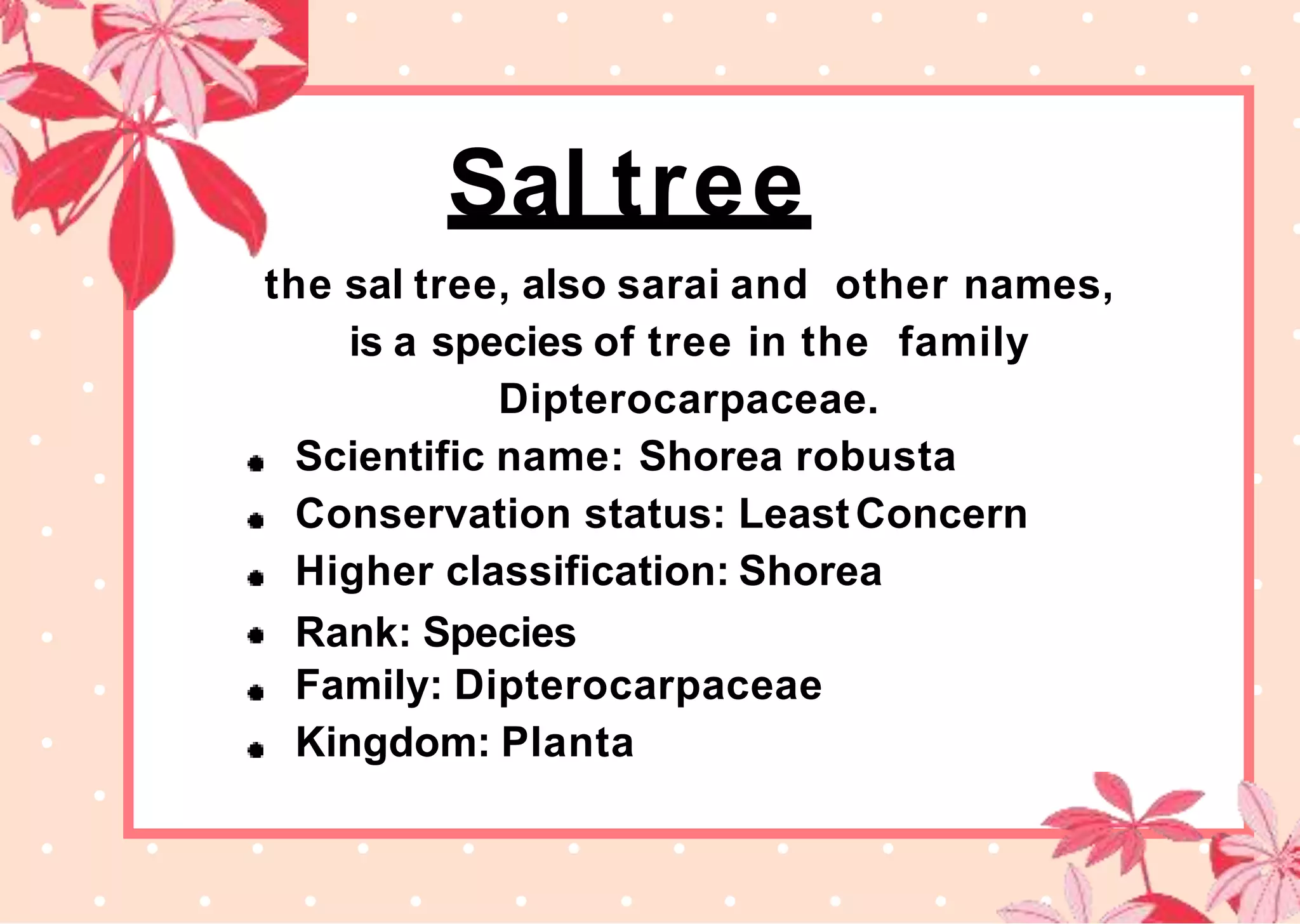 Flora of Odisha science.pptx