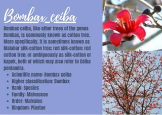 Flora of Odisha science.pptx