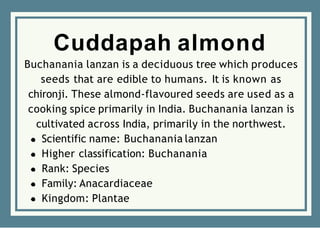 Flora of Odisha science.pptx