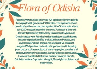 Flora of Odisha science.pptx