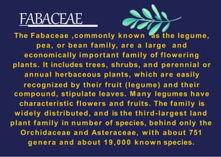 Flora of Odisha science.pptx