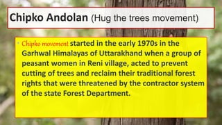 Forest and wildlife management | PPTX
