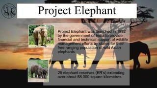 Forest and wildlife management | PPTX