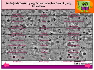 Dewanti hasriani | PPT