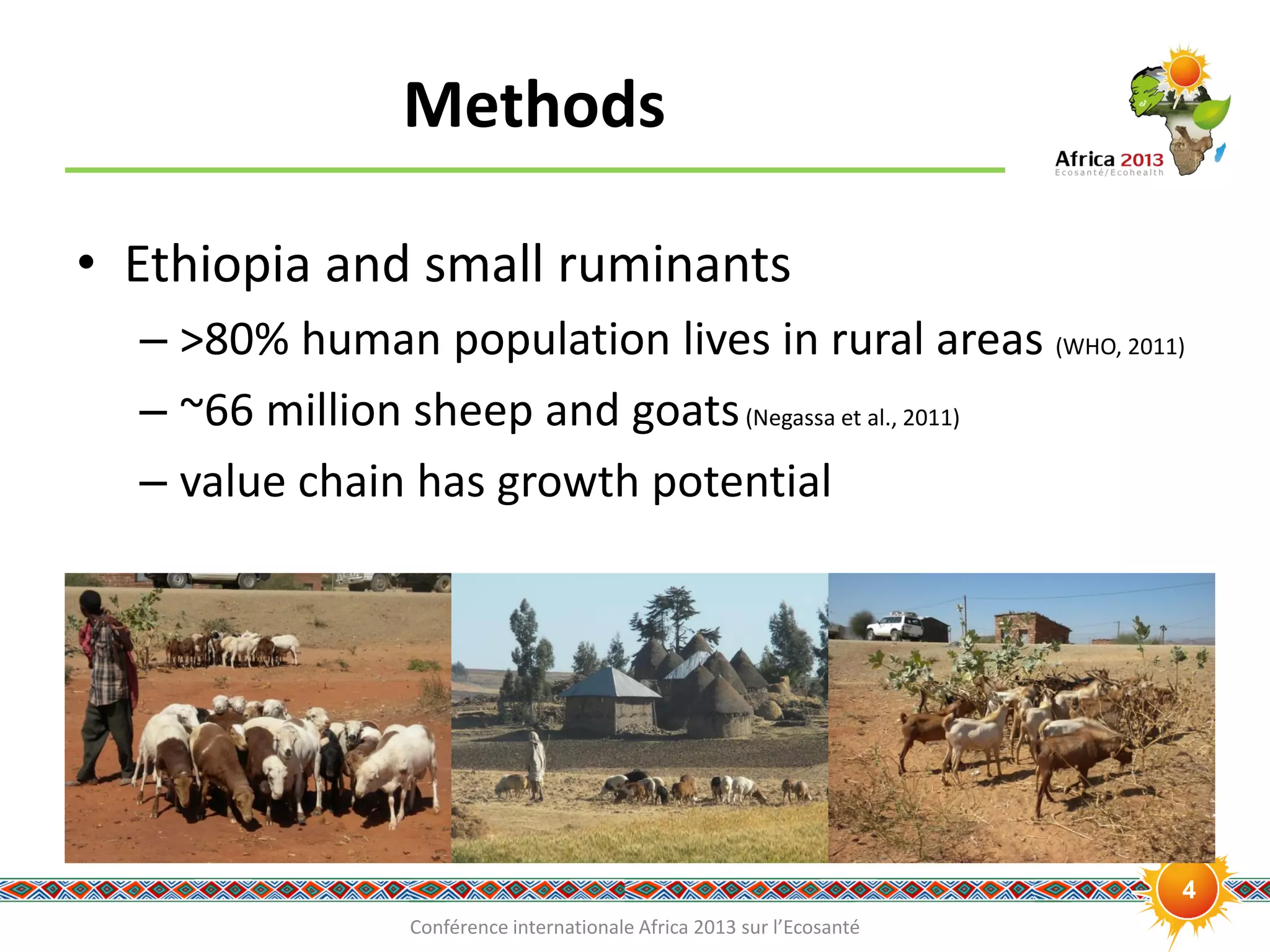 An integrated approach to assessing and improving meat and milk safety ...
