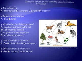 De web 2.0 lesson jackson a | PPTX
