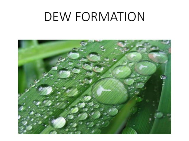 DEW FORMATION-WPS Office.pptx