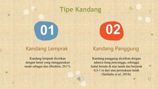 Dewi Marliyana Ulfah-Aplikasi Software C-Tugas PPT | PPTX
