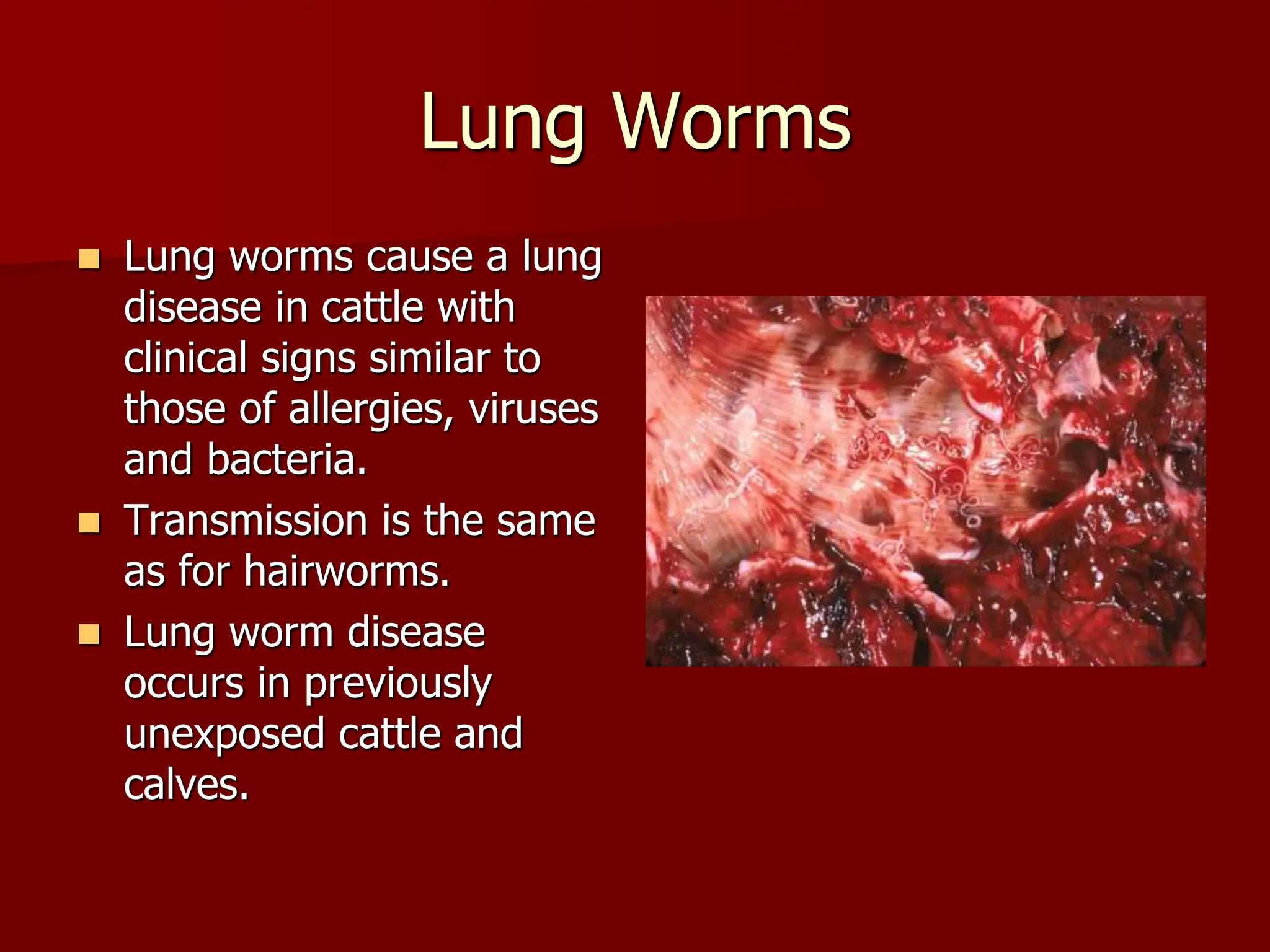 deworming in livestock aaaaaaaaaaaaaa.ppt