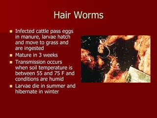 deworming in livestock aaaaaaaaaaaaaa.ppt