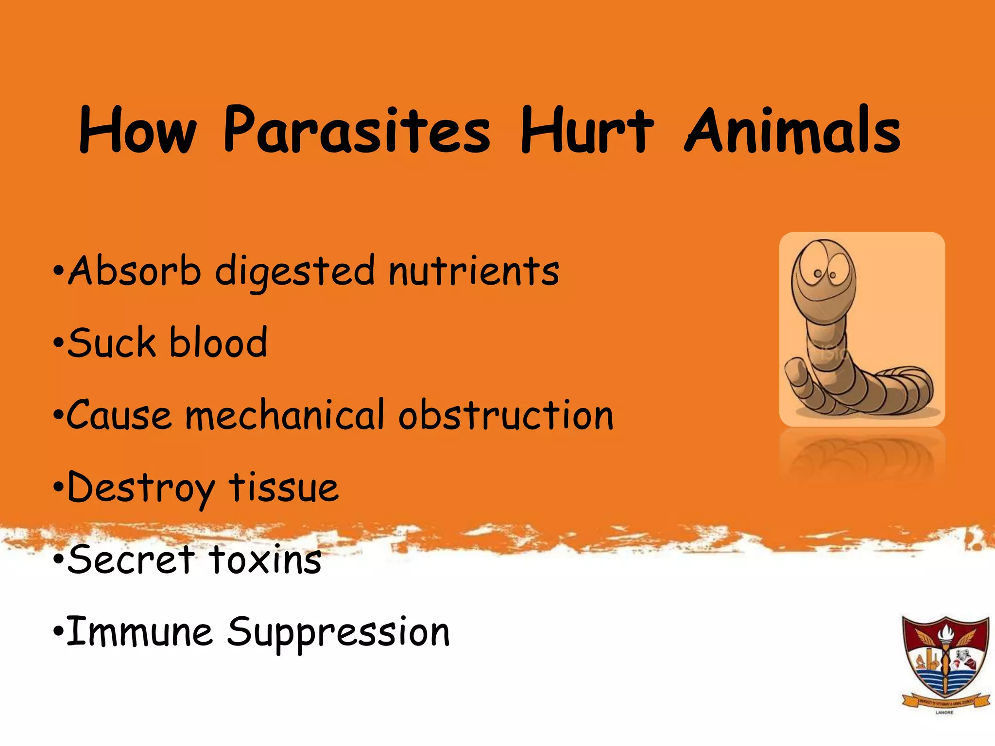 Deworming in animals- An overview of Anthemintics | PPTX