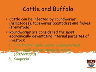 Deworming in animals- An overview of Anthemintics | PPTX