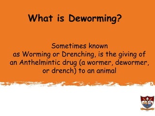Deworming in animals- An overview of Anthemintics | PPT | Free Download