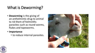 Deworming Procedure & Doses for Different Species.pdf