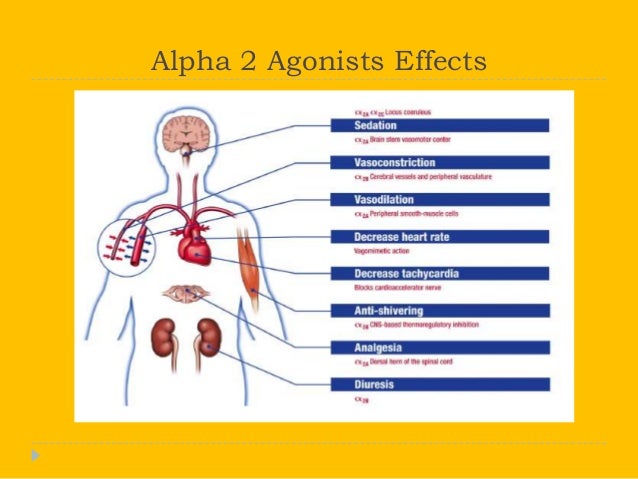 Dexmedetomidine in icu hashemian